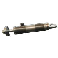 China DJS-63 Stainless Steel Hydraulic Cylinder 25MPa 250mm Stroke for sale
