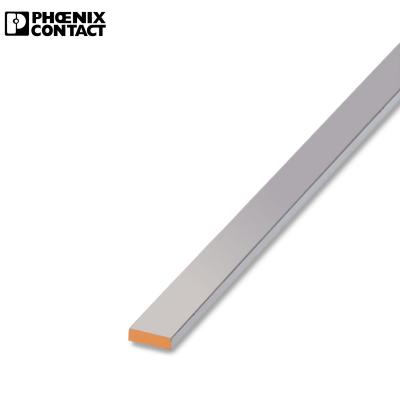 China Phoenix Contact Original Terminal Relay Din Rail Component 0402174 NLS-CU 3/10 SN 1000MM - Neutral busbar for sale