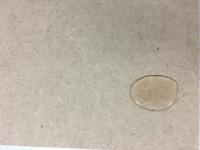 China Water Resistance Flooring Protective Sheets Customized Size Floorshell Builders Board for sale