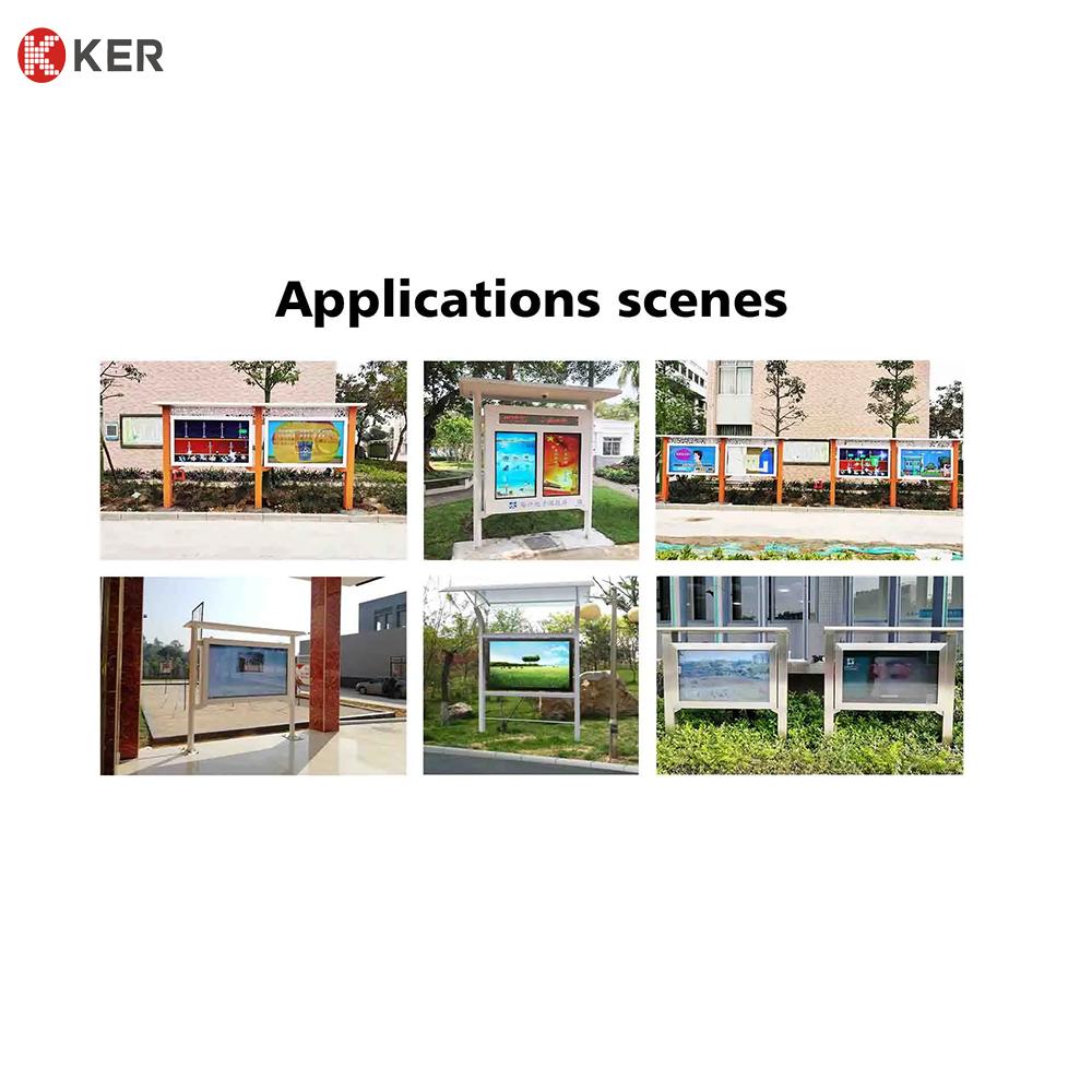 DS-SF(O)2 (9)