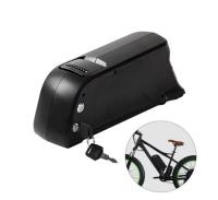 China Dolphin Lithium Ion 48v 15ah Ebike Battery 18650 cell 36v 20ah for sale