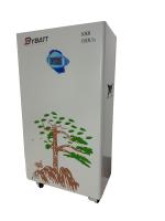China Fast Charging LiFePO4 Battery for UPS & Portable Power Station for sale