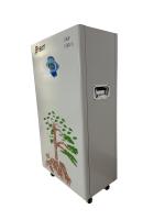China High Capacity LiFePO4 Battery Pack with Smart BMS Protection for sale