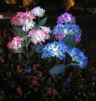 China 3 Heads Flower Solar Hydrangea Lights Outdoor Garden LED Simulation Flower Lights for sale