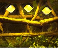 China Human Body Sensor Control LED Solar Light Seven Colours Wall Ambient Light Outdoor for sale