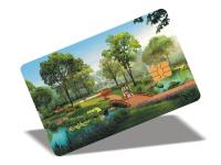 China PVC Atmel AT88SC0104C Offset Printing Contacted Encrypted Logic Card for sale