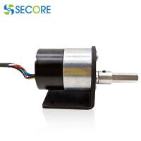 China 12V DC Brushless Gear Motor Automatic Window Automatic Door Micro Motor for sale