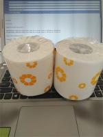China 2-5 Ply  8-15cm Diameter Mixed Pulp Toilet Tissue Paper Roll dissovable in water for sale