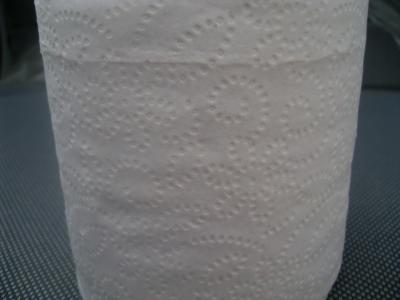 China Customized Embossed Toilet Tissue Paper Roll for sale