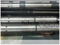 China CHAMP High Pressure Retrievable Packer 15000 psi for 7
