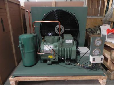 China 4CES 6Y 404a Condensing Unit cold storage refrigeration units for sale