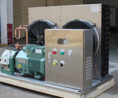 China R134a R407 Air Cooled Refrigeration Unit 3210W Freezer Room Condensing Unit for sale