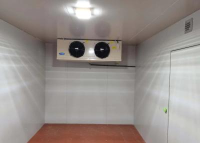 China SS314 Deep Freezer Cold Room Customized Cold Storage Chiller 2*2*2.8M for sale