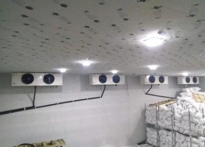China Customized 100mm Panel Cooling Storage Room 42KG/M3 Density Cold Room For Meat Storage for sale