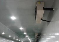 China Customized 100mm Panel Cooling Storage Room 42KG/M3 Density Cold Room For Meat Storage for sale