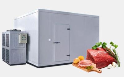 China Meat Fish SS314 Cold Room Food Storage 8000mm Cold Storage Chiller for sale