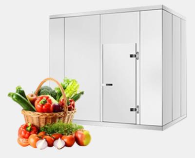 China 1160mm Fruit Cold Storage Room 100mm Panel Commercial Freezer Room for sale