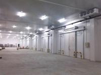 China 1160mm Fruit Cold Storage Room 100mm Panel Commercial Freezer Room for sale