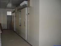 China CE SGS Fish Freezing Walk In Coldroom 0.4mm Steel Blast Freezer Cold Room for sale