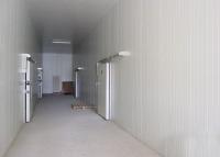 China CE SGS Fish Freezing Walk In Coldroom 0.4mm Steel Blast Freezer Cold Room for sale