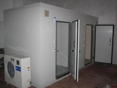 China 100mm thickness Customized White Colorbond Commercial Cold Rooms 220V 380V Freezer Storage Room for sale