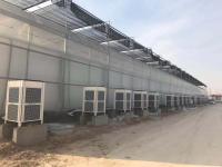 China Customized 220-380V Water Cooled Cold Storage Unit 100mm Colorbond Industrial Freezer Room for sale