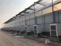 China Customized 220-380V Water Cooled Cold Storage Unit 100mm Colorbond Industrial Freezer Room for sale