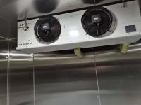 China Customized 220V 380V Seafood Fish Cold Room 0.6mm 0.8mm Steel Industrial Freezer Room for sale