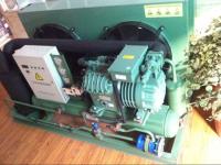 China 220V 50Hz Refrigeration Compressor Unit 4DES-5Y 5HP Cold Storage Refrigeration Units for sale