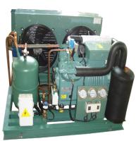 China 4EES-6Y Air Cooled Refrigeration Unit With Semi Hermetic Compressor for sale