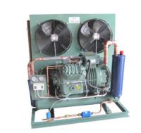 China Semi Hermetic Air Cooled Refrigeration Unit condensing unit for sale