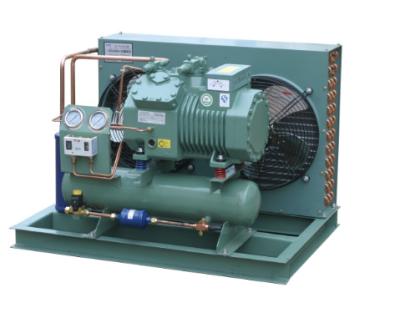 China 3HP 2FES-3Y Air Cooled Refrigeration Unit R407 Freezer Room Condensing Unit for sale