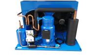 China France Maneurop Hermetic Air-Cooled Refrigertion Unit,Customized Air-Cooled Condensing Unit Used For Coldroom Storage for sale