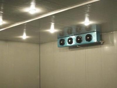 China 2.0mm Checker Plate Cold Storage Chiller Recessed curved corner meat cold room for sale