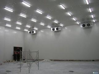 China Bespoke Cold Rooms 100mm Panel Vegetable Cold Storage Room for sale