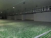 China Bespoke Cold Rooms 100mm Panel Vegetable Cold Storage Room for sale