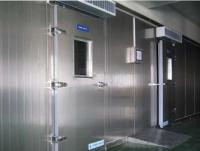 China 200mm 150mm Panel Deep Freezer Cold Room 220V 380V Restaurant Freezer Room for sale