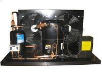 China FH4524Z 2HP High Temp FranceTecumseh Air Cooled Refrigeration Unit 220V 50Hz for sale