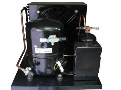 China FH4524Z 2HP High Temp FranceTecumseh Air Cooled Refrigeration Unit 220V 50Hz for sale