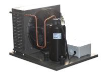 China CE CCC CG633G R407C Cool Room Condensing Unit Highly Rotary for sale