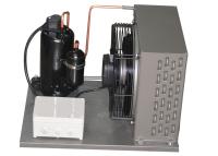 China CE CCC CG633G R407C Cool Room Condensing Unit Highly Rotary for sale