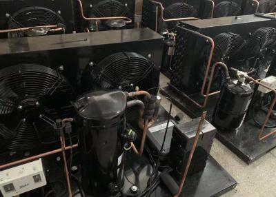 China ZB45KQE 6HP ZB Copeland Scroll Condensing Unit For Cold Storage for sale