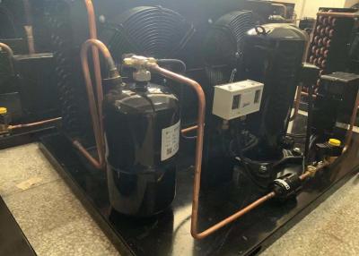 China CCC 12HP Air Cooled Refrigeration Unit ZB88KQE For 110-180m3 for sale