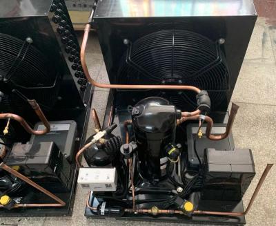 China HFC R404a Freezer Room Refrigeration Unit ZSI09KQE 3HP Low Temp -23℃ for sale