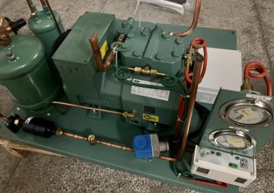 China Germany  Brand 2EES-2Y (2HP) R404a Air-Cooled Refrigertion Condensing Units For Cold Room Refrigeration System for sale