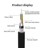 China Direct Burial Anti Rodent Fiber Optic Cable GYTA33 12-288 Cores for sale