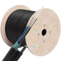 China 24 Core GYTC8S Aerial Figure 8 Fiber Optic Cable G.652D PE/LSZH for sale