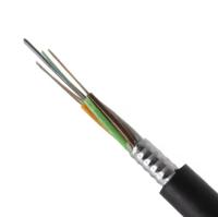 China GYTS 24 Core Steel Armored Outdoor Duct Fiber Optic Cable G652D for sale
