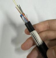 China GYFTY63 24 Core Anti Rodent Fiber Optic Cable FRP Strength Member for sale