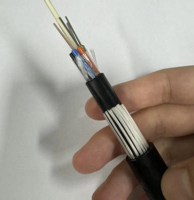 China GYFTY63 24 Core Anti Rodent Fiber Optic Cable FRP Strength Member for sale